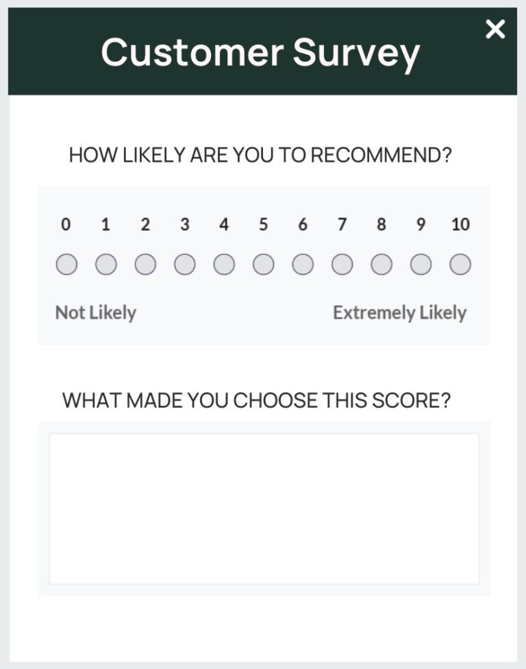 Customer Satisfaction Surveys: A Comprehensive Guide