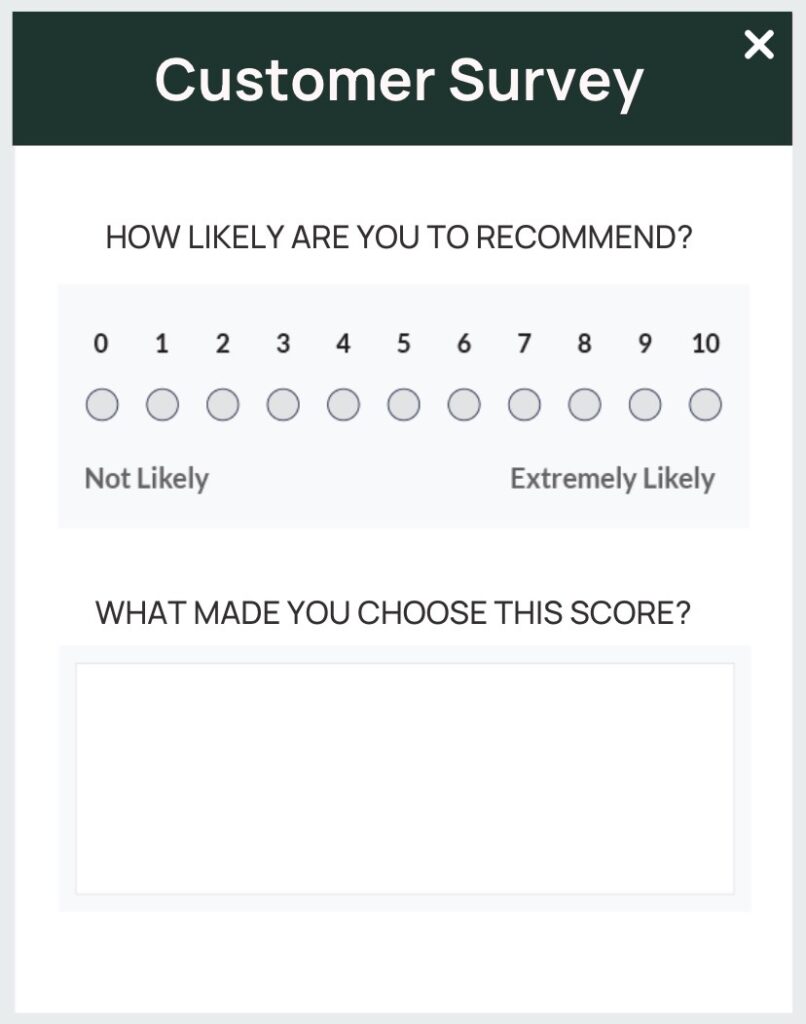 Customer Satisfaction Surveys: A Comprehensive Guide